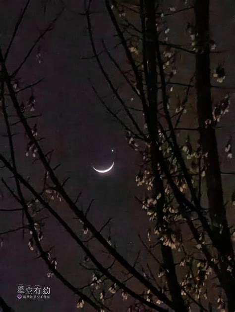 星空有約4月天宇將迎來全環食天琴座流星雨等多個重要天象 每日頭條