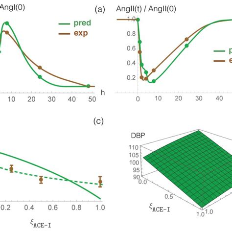 Dynamical Response Of Ras To Ace I Enalapril Administration
