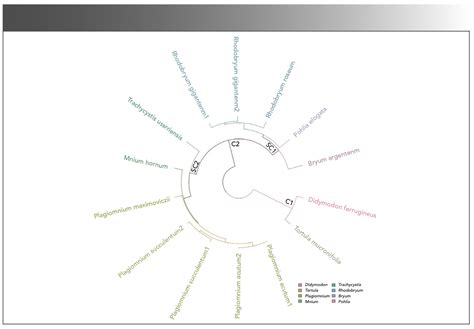efficient discrimination of some moss species by fourier transform infrared spectroscopy and