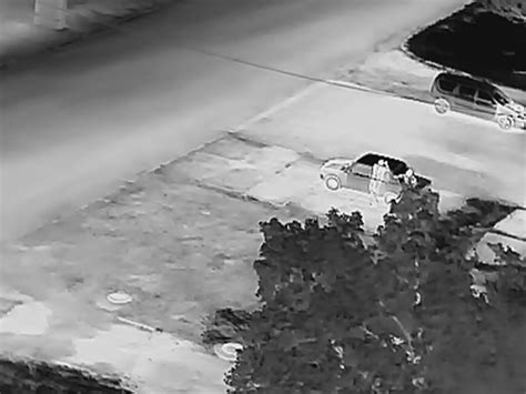 Ir Human Detection Object Detection Dataset And Pre Trained Model By Ivan Pidhaietskyi