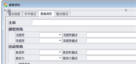 总结开发中基于devexpress的winform界面效果 伍华聪 博客园