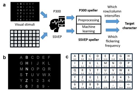 A P300 Speller And An Ssvep Speller A Workflow Of A P300 Speller Top
