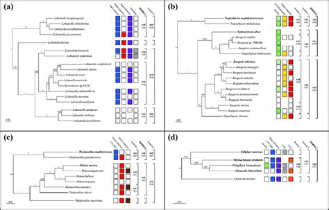 Phenotypic Characteristics Of Ambiguous Taxa Trees Were Reconstructed Download Scientific