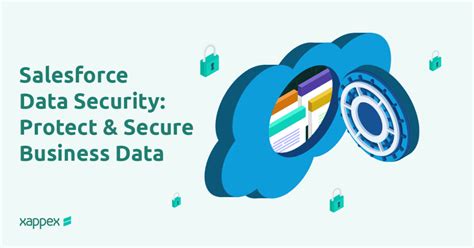 Salesforce Data Security Protect And Secure Business Data Xappex