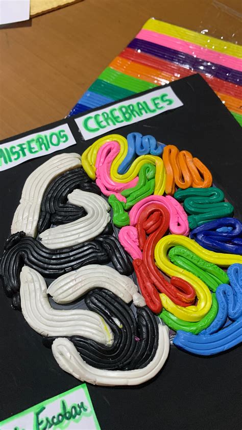 Hojas De Trabajo Sobre Los Hemisferios 24189892 Ilustraciones De