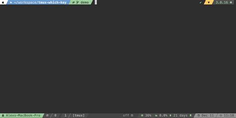 github alexwforsythe tmux which key a plugin for tmux that allows