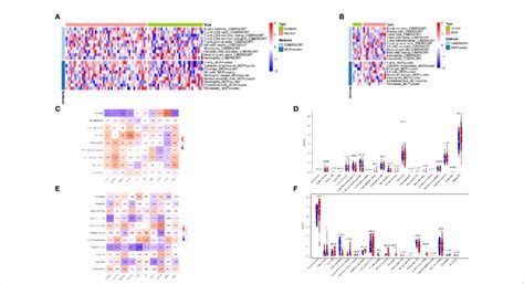 Immune Infiltration Analysis A Combined Analysis Of Cibersort And