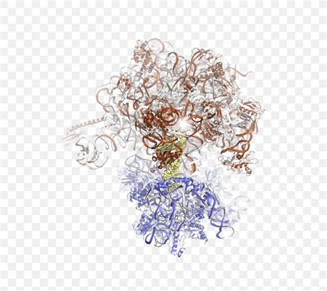 Tree Font PNG 561x731px Tree Art Organism Download Free