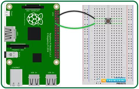 interface a ws2812 rgb with raspberry pi 4 artofit