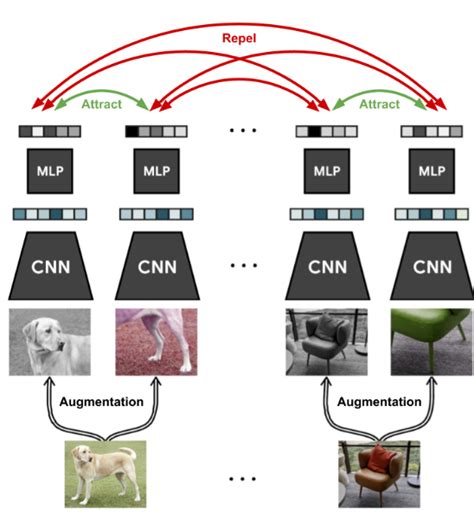 Self Supervised Learning What Is And A Case Study Simclr Mohammad