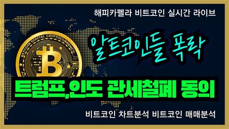 비트코인 실시간 알트코인 하락 중 솔레이어룸네 급락 중 56 저녁💎비트코인 비트코인실시간 이더리움 리플 Cryptocurrency 차트분석 Youtube