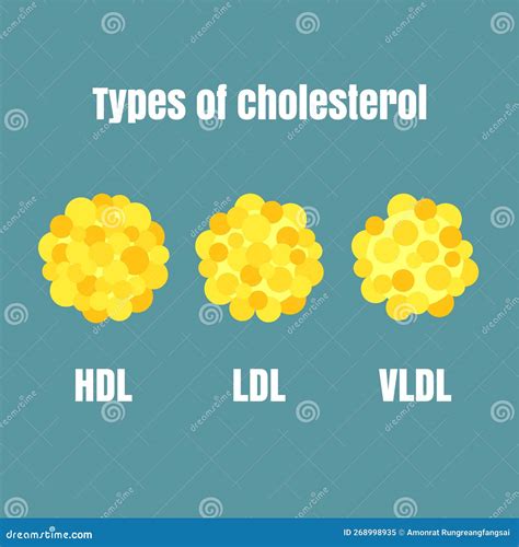 Types Of Cholesterol HDL And LDL Cholesterol Types Labeled Educational Normal And Narrowed