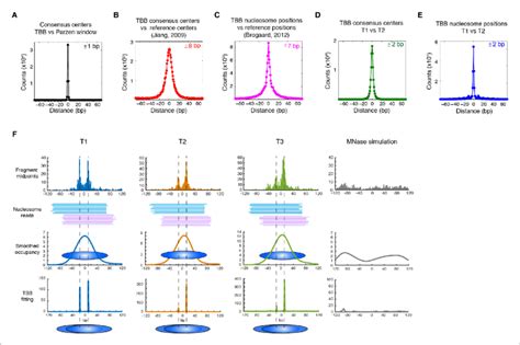 Genome Wide Evaluation Of The Tbb Approach And Alternative Nucleosome Download Scientific