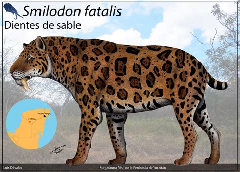 Smilodon Fatalis By Ladalbarran2001 On Deviantart