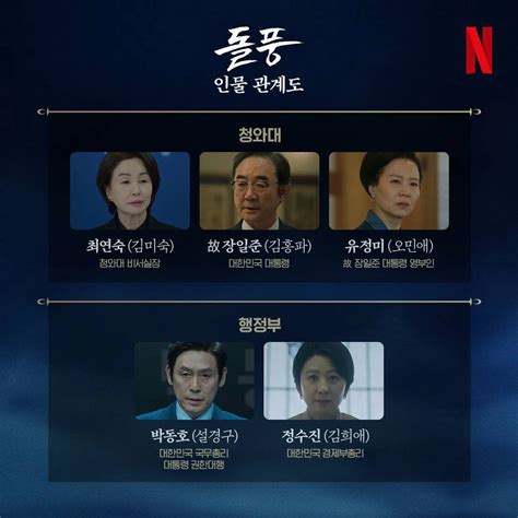 넷플릭스 돌풍 후기 정치드라마