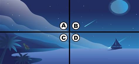 Spot The Turtle Quiz Answers My Neobux Portal
