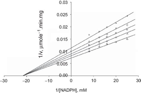Lineweaverburk Double Reciprocal Plot Of Initial Velocity Against