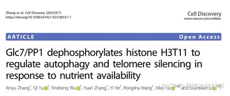 Cell Discov︱湖北大学李珊珊 余希岚团李珊珊 余希岚团队发现糖代谢调控自噬与端粒结构的新机制 知乎
