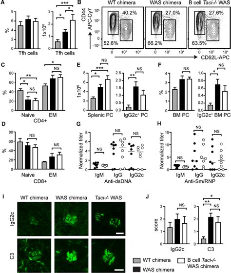 Lupus‐like Autoimmunity In The Absence Of B‐cell Taci Expression A
