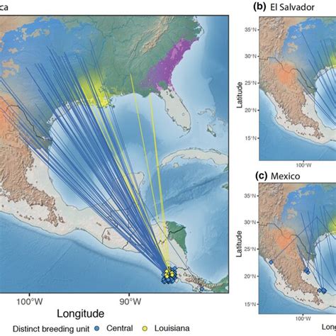 Typical Migration Patterns A Leapfrog Migration Pattern B Chain Download Scientific