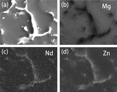 Eds Element Distribution Map Around Grain Boundary A Sem B Mg C