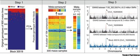 Machine Learning Bridges Omics Sciences And Plant Breeding Trends In Plant Science