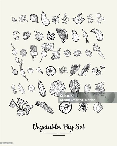야채 고립 된 손으로 그린 그림입니다 벡터 큰 세트 힙 스 터 손으로 그린 스케치 야채에 대 한 채식 포스터 요리 학교 레스토랑