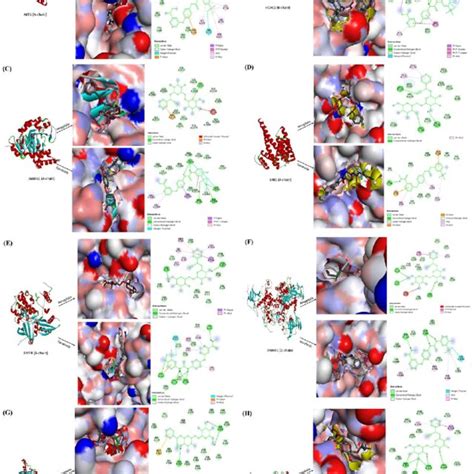 Molecular Docking Analysis For The Visualization Of Binding Poses Of Download Scientific