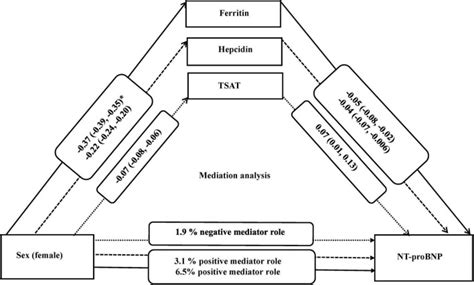 Sex And N Terminal Pro B Type Natriuretic Peptide The Potential Mediating Role Of Iron