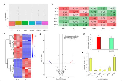 Figure E Circrna Seq Profiling In The Comparisons Of Avian Pathogenic Download Scientific