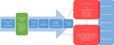 Description Of The Minimum Unit Pricing Model Contextualised To South