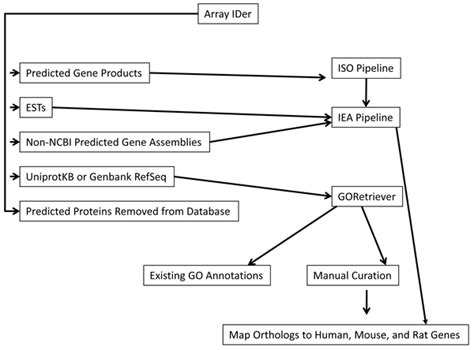 Flow Chart Demonstrating The Functional Annotation Process Functional Download Scientific