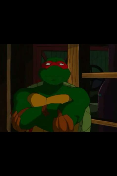 Raphael 2003 Tmnt Version 👍 Tmnt Cartoon Turtle Tmnt Turtles