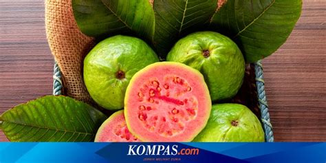 4 Efek Samping Makan Jambu Biji Apa Saja
