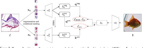 figure 2 from event camera data pre training semantic scholar