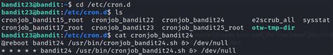 Overthewire Bandit Cron Level 23 → Level 24