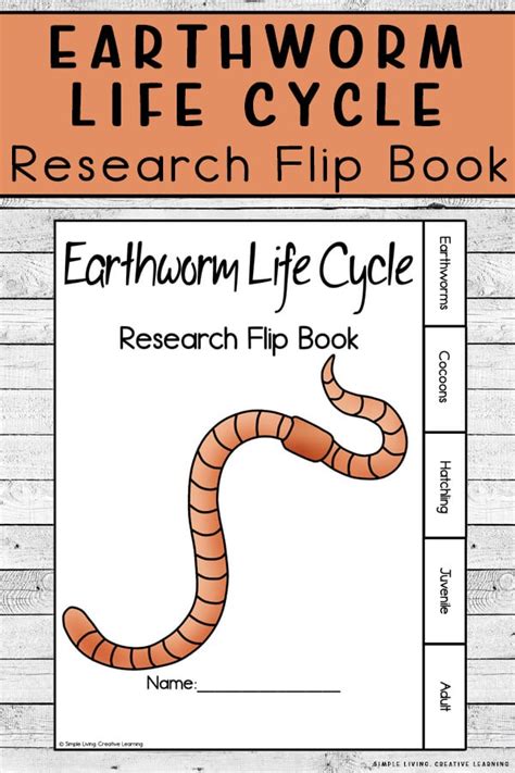 Free Earthworm Worksheet Download Free Earthworm Worksheet Png Images Free Worksheets On