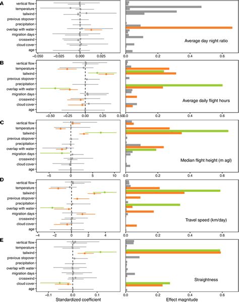 Standardized Coefficient Estimates And Compared Effect Magnitudes Of