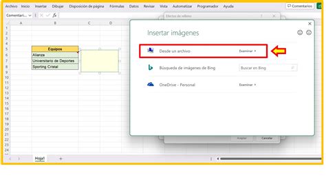 Como Poner Imagen En Nota De Texto En Excel