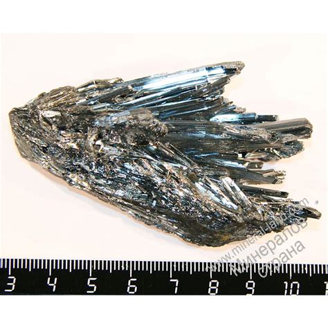 Mineral Land