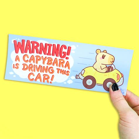 Warning Capybara Driver Vinyl Bumper Sticker Turtles Soup