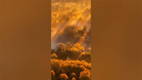 აკუსტიკა თბილისის მზეს კარაოკე ტექსტი👇 Youtube