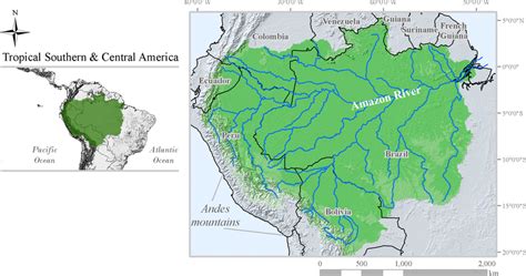 Amazon River Basin