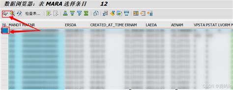 Abap Se11修改数据库表数据小技巧sap Se11修改数据 Csdn博客 Abap Se11修改数据库表数据小技巧sap Se11修改数据 Csdn博客