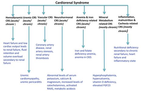Pathophysiological Classification Of Crs By Hatamizadeh Et Al Modified