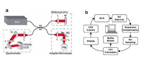 1310 Nm Spectral Domain Oct Schematic And Processing Steps A Download Scientific Diagram