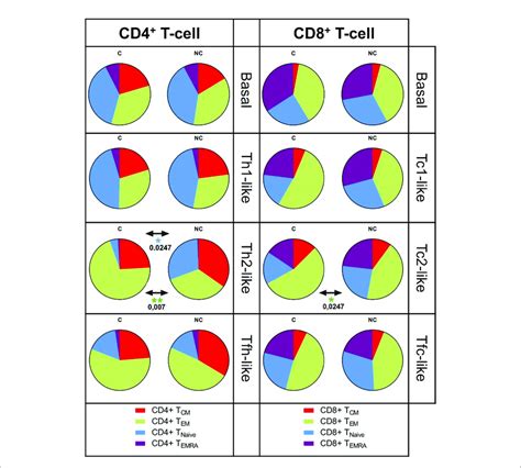 Memory Phenotype Of The Hiv Specific Polarized T Cell Responses The