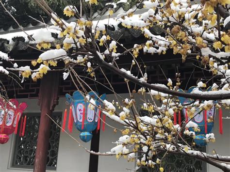 雪飞舞的花 老小孩讲述