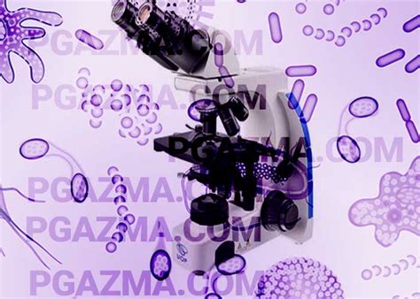 مشاهده باکتری زیر میکروسکوپ پویاژن آزما