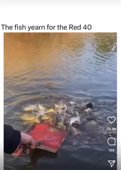 Drew R Emergencyintercom